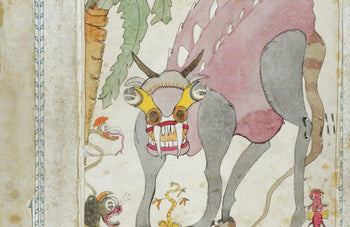 Josep Baqué – RAW VISION