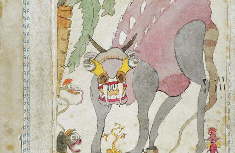 Josep Baqué – RAW VISION