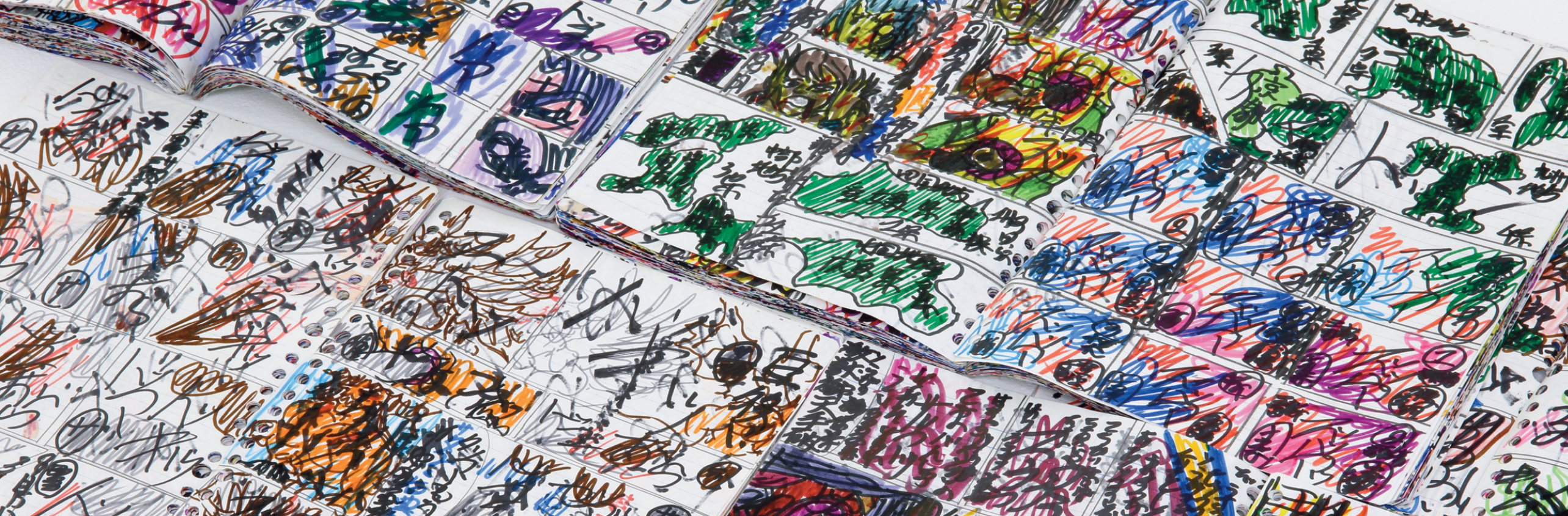 JAPANESE WORKSHOPS – RAW VISION